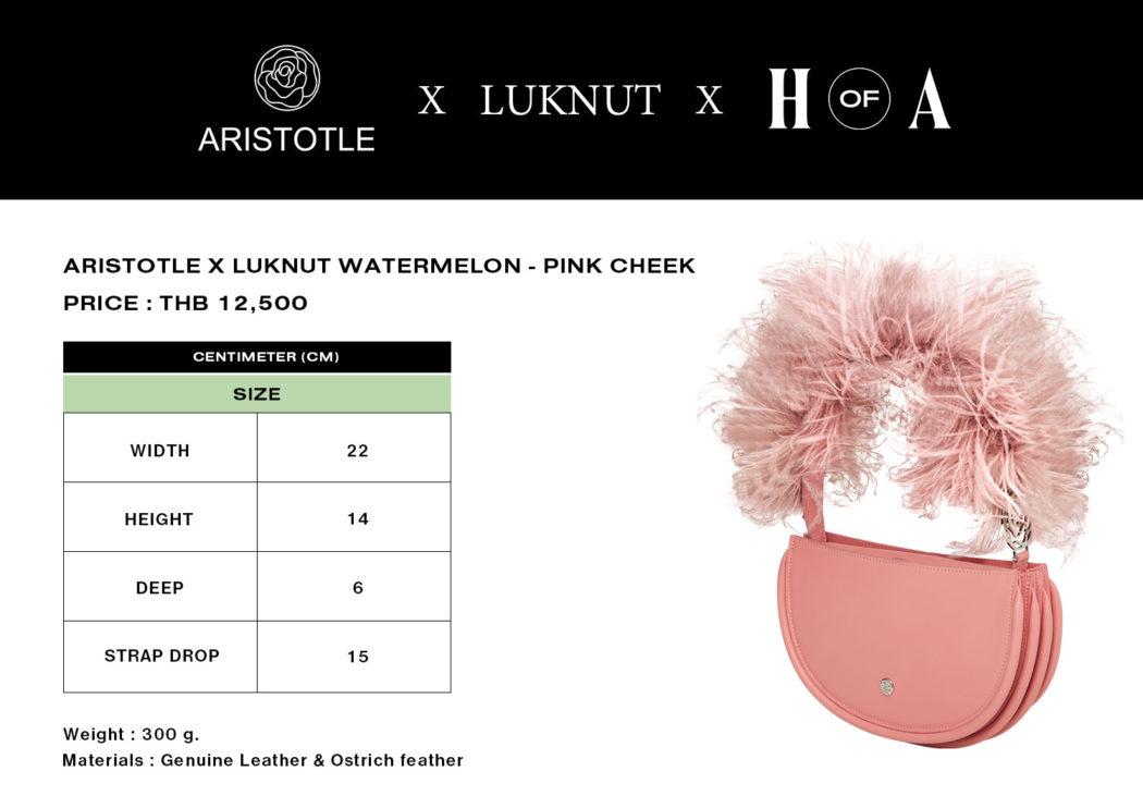 sizechart-Pinkcheek | Haus Of Abbi